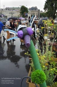 Les Zambus | PARIS LABEL